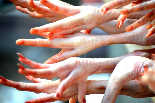 Delicious Chicken Feet Soup Recipes: Traditional Chinese Delicacies